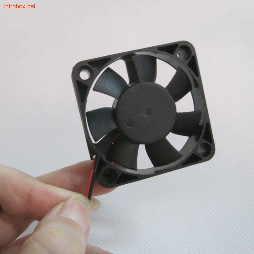 Кулер 40x40x10 12v 2pin | IntroBox